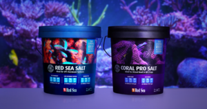 How to mix perfect saltwater from Red Sea Salts - Tips & Tricks