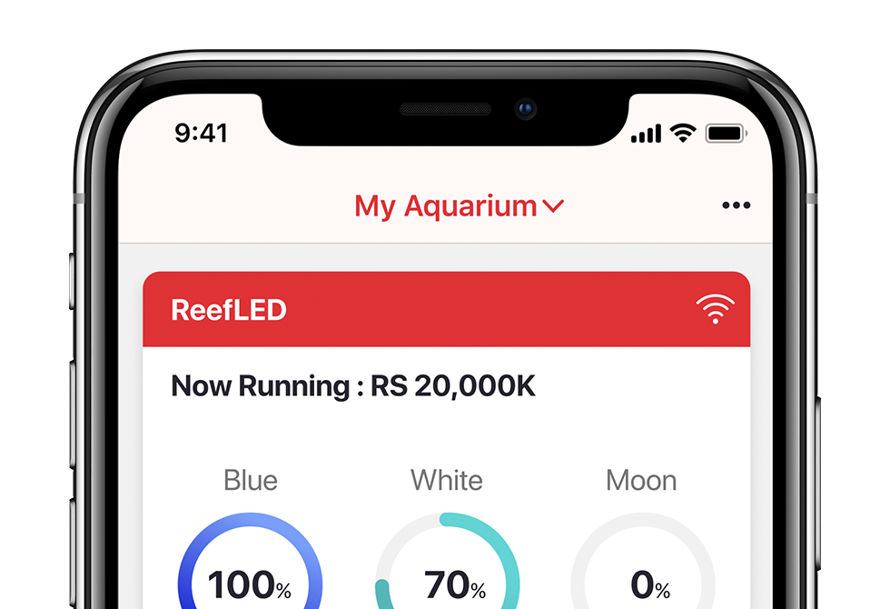 Product Support - Red Sea