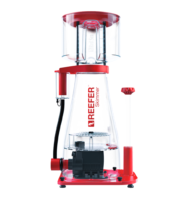 Video Guides - Red Sea