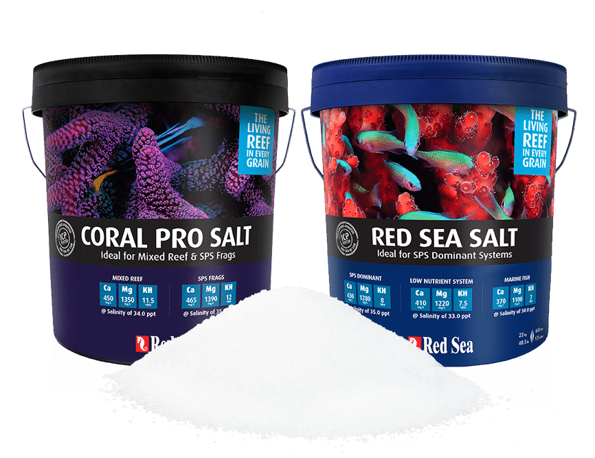 Video Guides - Red Sea