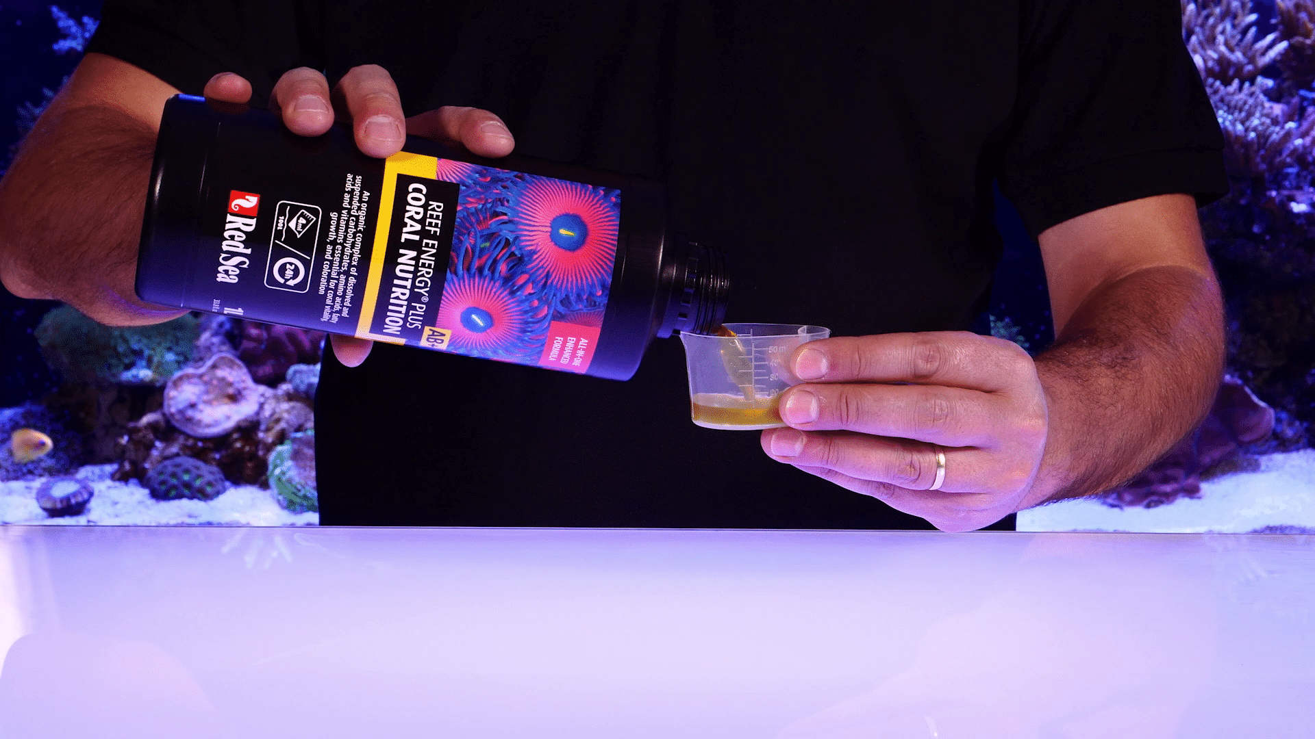 Coral Feeding - Tips and Tricks: broadcast feeding and target feeding.